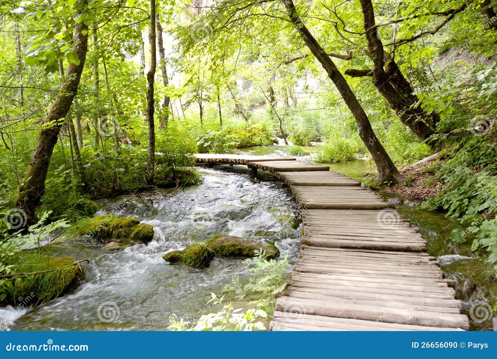 Wooden Pathway In Rural Scenery Stock Photography | CartoonDealer.com ...