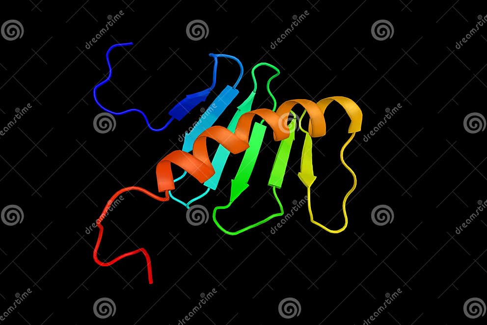 PLK4, an Enzyme Which Regulates Centriole Duplication during the Stock ...