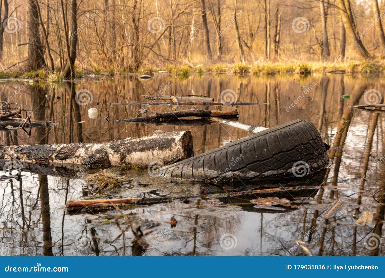 Plluted Forest River, Swamp, Forest, Trees, Spring. Stock Photo - Image ...