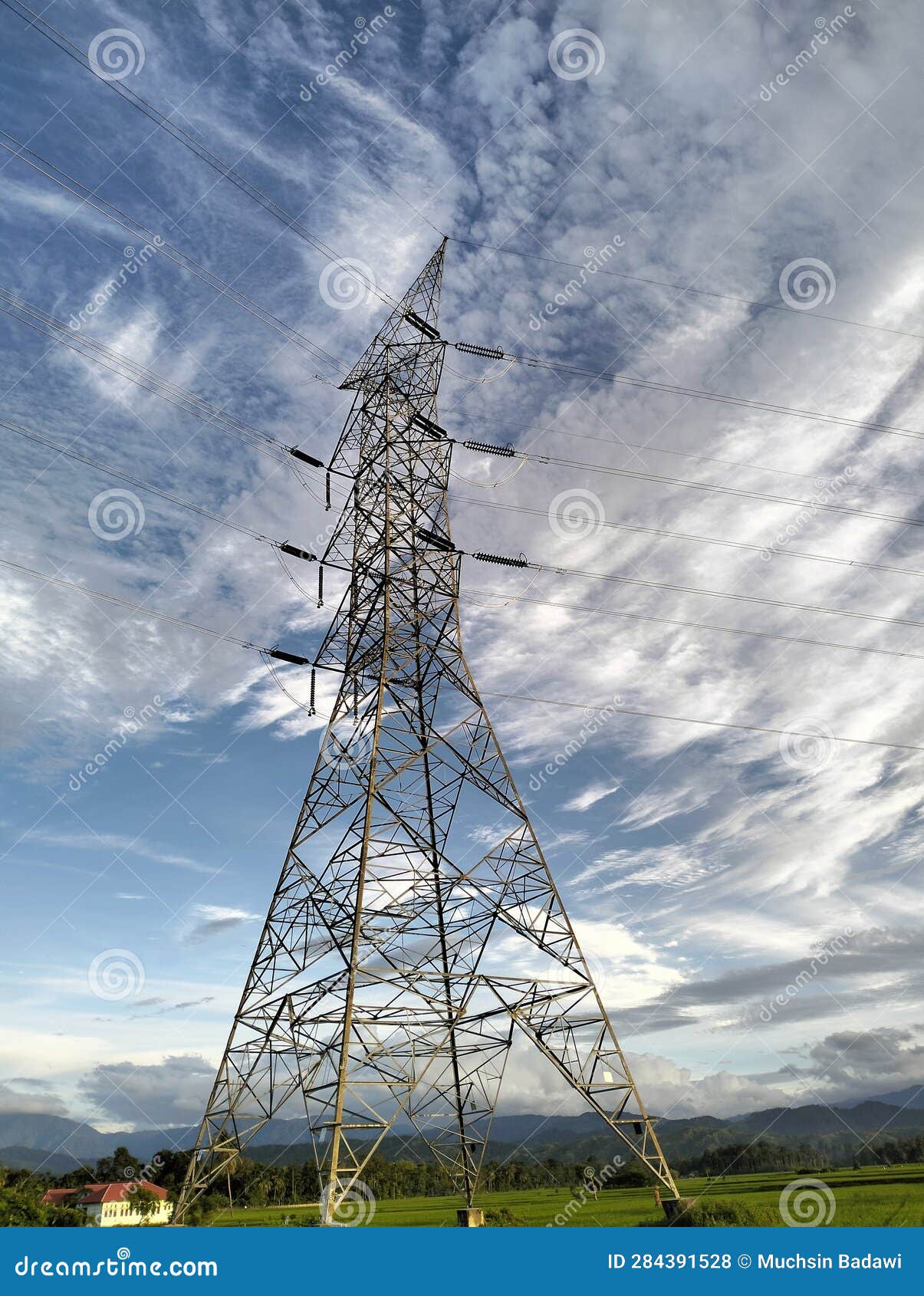 PLN Tower Tower Standing in the Middle of Rice Fields Stock Photo ...