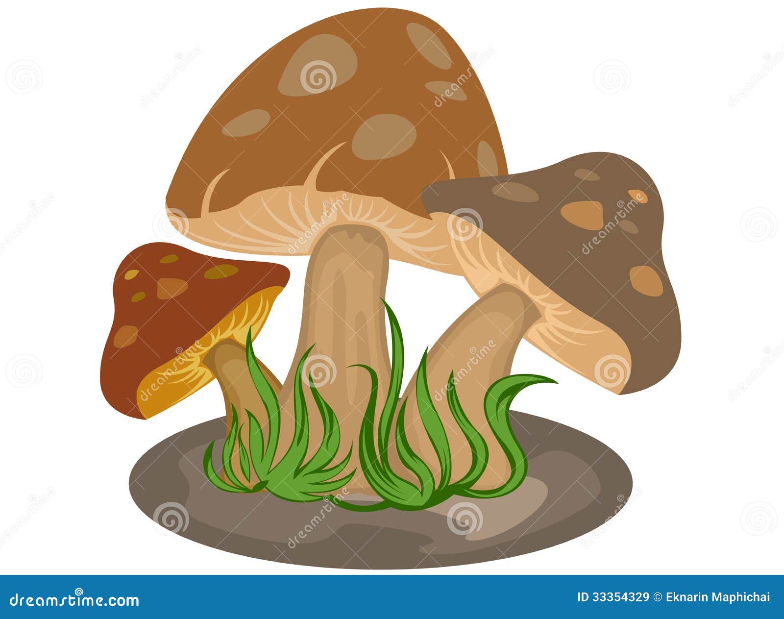 Plocka Svamp Tecknade Filmen Stock Illustrationer - Illustration av ...