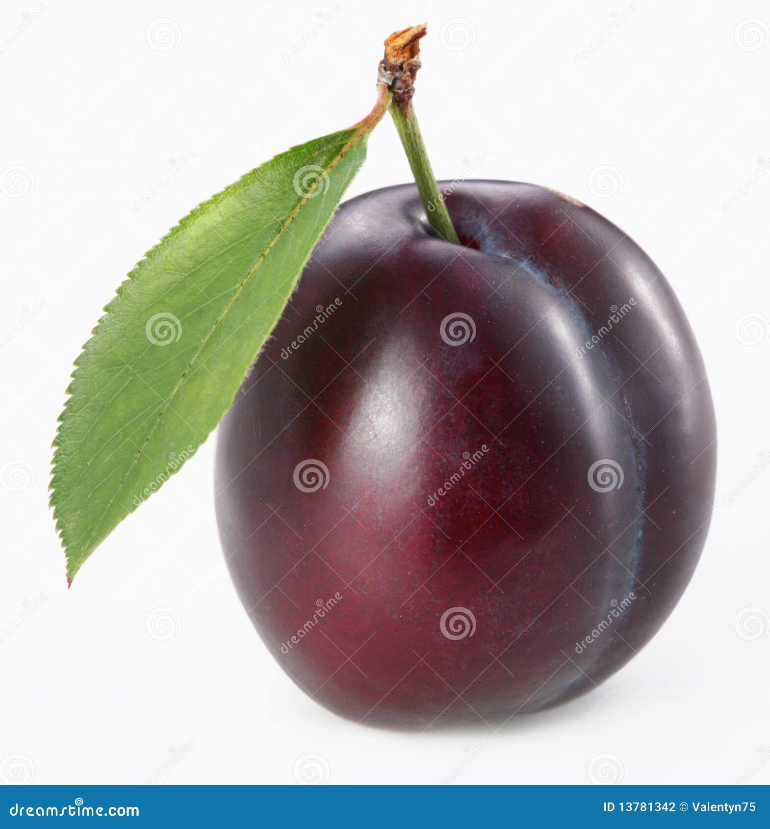 Plommon arkivfoto. Bild av vitt, frukt, organiskt, efterrätt - 13781342