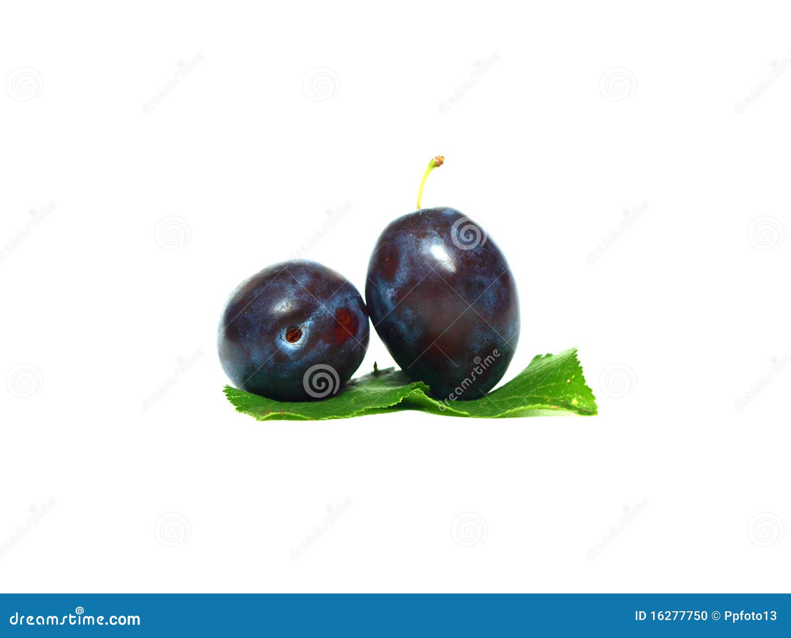 Plommon arkivfoto. Bild av saftigt, organiskt, vitaminer - 16277750