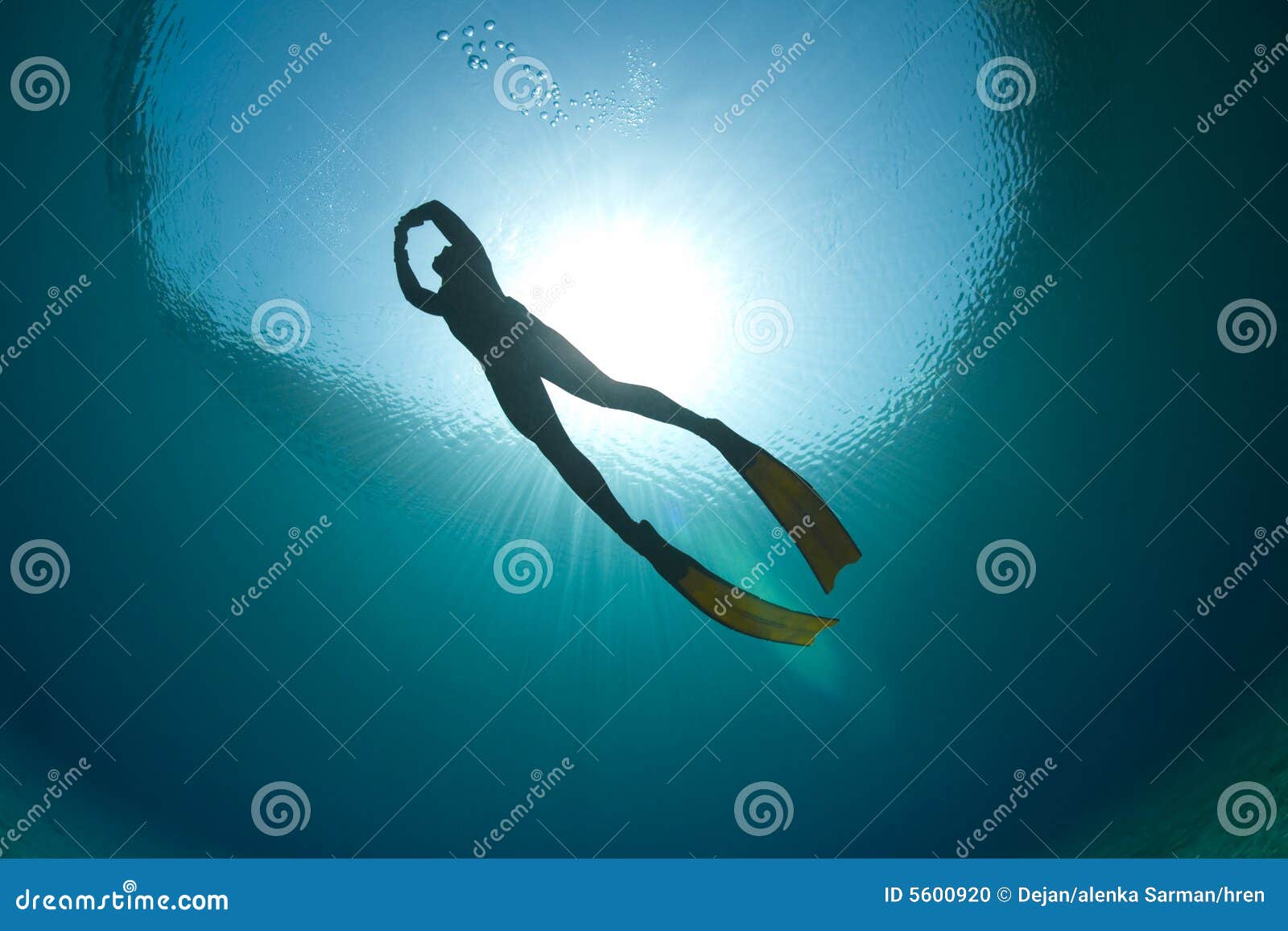 Plongeur sous-marin photo stock. Image du femme, homme - 5600920
