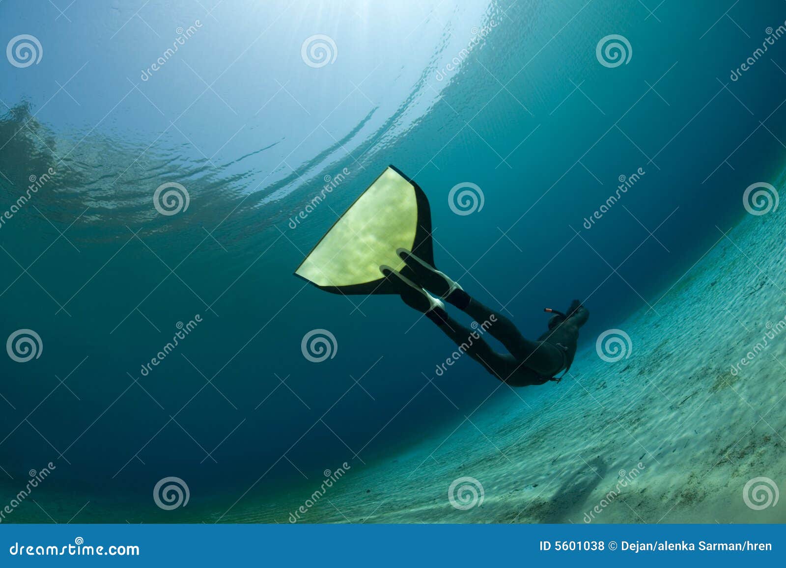 Plongeur sous-marin photo stock. Image du natation, plongeur - 5601038