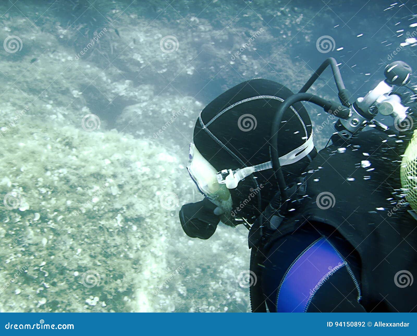 Plongeur Sous-marin En Monde Sous-marin Photo stock - Image du ...