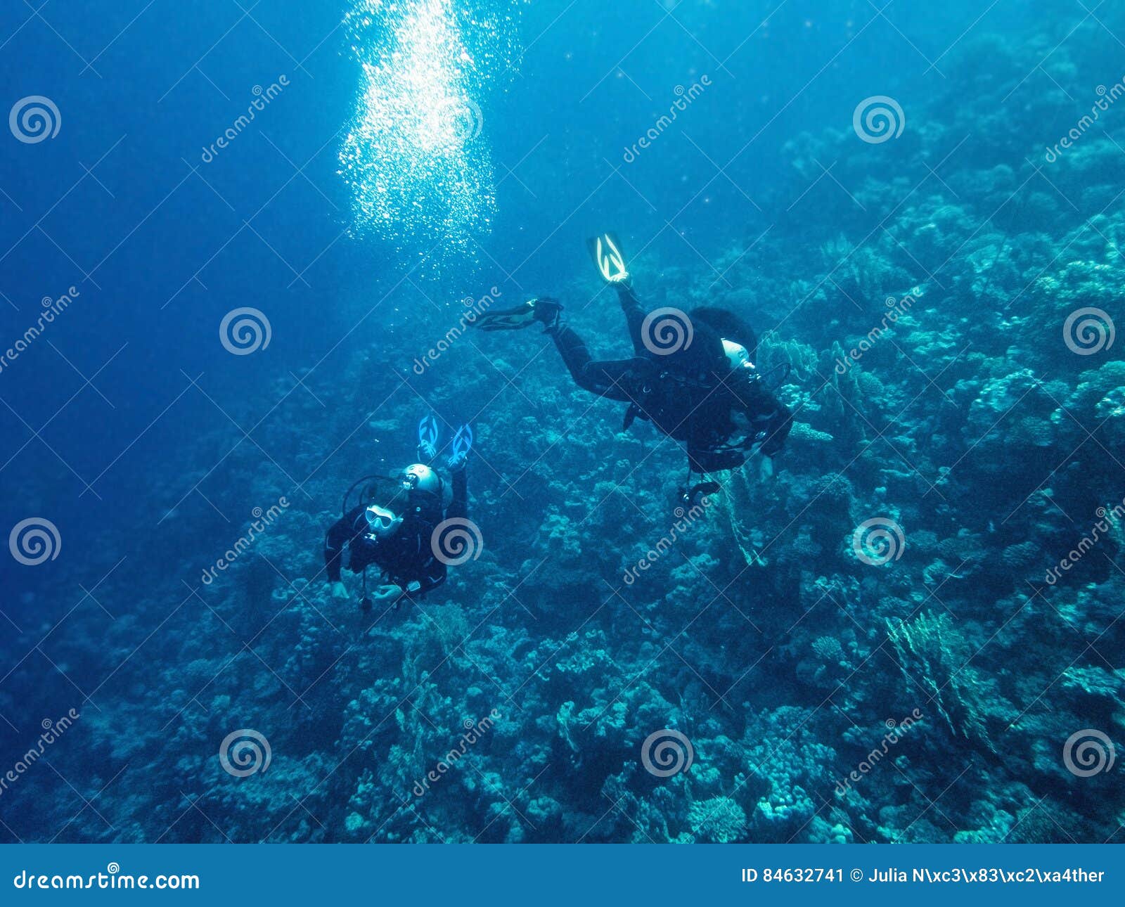 Plongeur Sous-marin Tout En Plongeant Photo éditorial - Image du ...