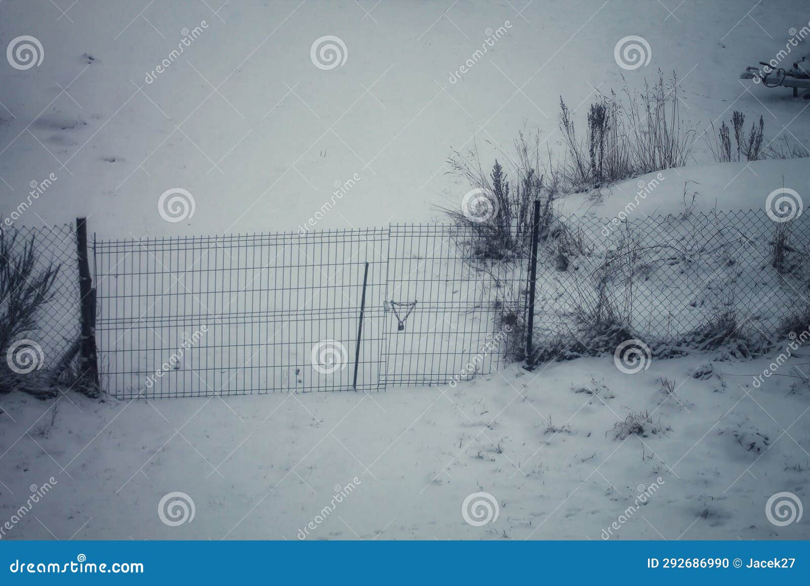 Plot fencing in Poland stock photo. Image of tree, branch - 292686990