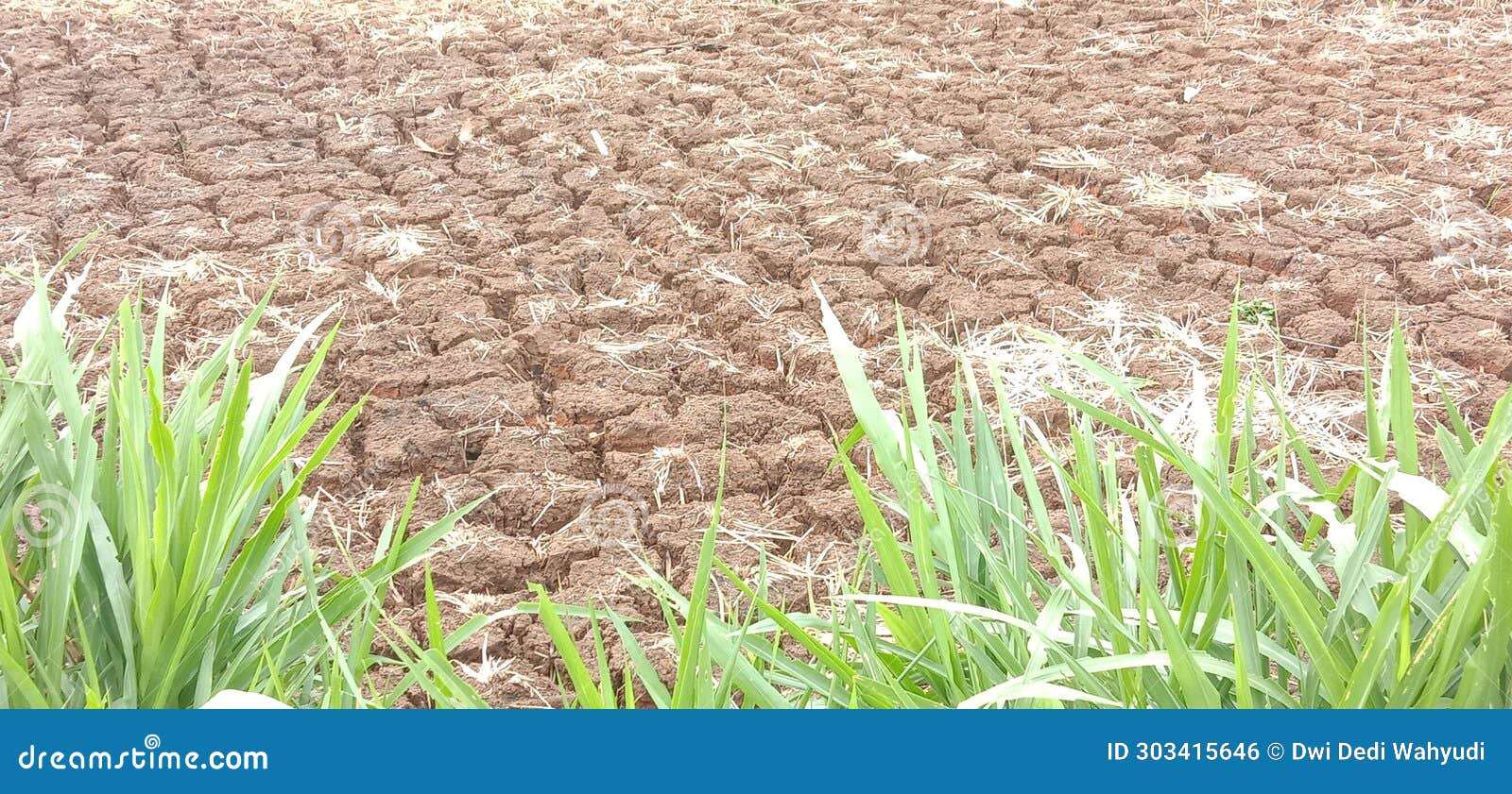 A Plot of Land that Has Been Tilled with a Rough Texture and Bright ...