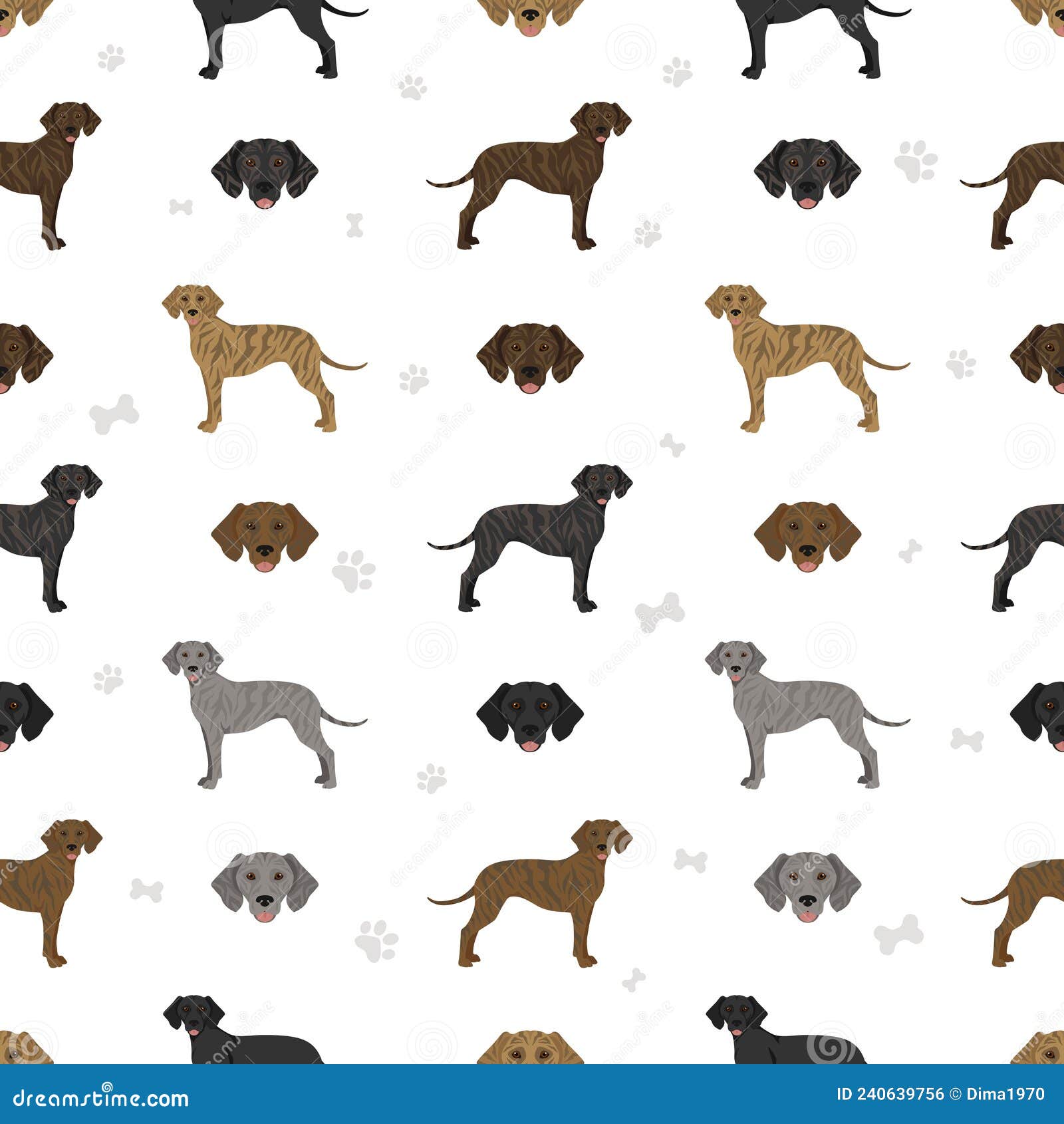 Plott Hound Seamless Pattern. Different Poses, Coat Colors Set Stock ...