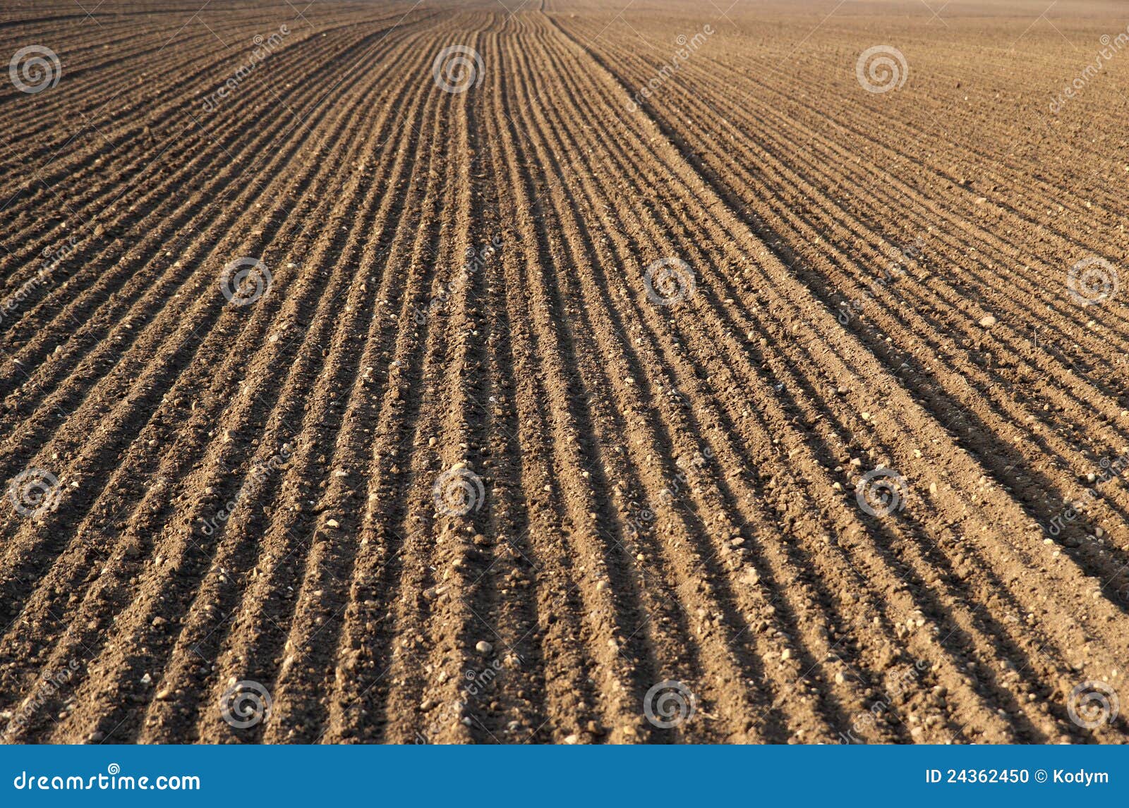 Old Plough Royalty-Free Stock Photography | CartoonDealer.com #33842975