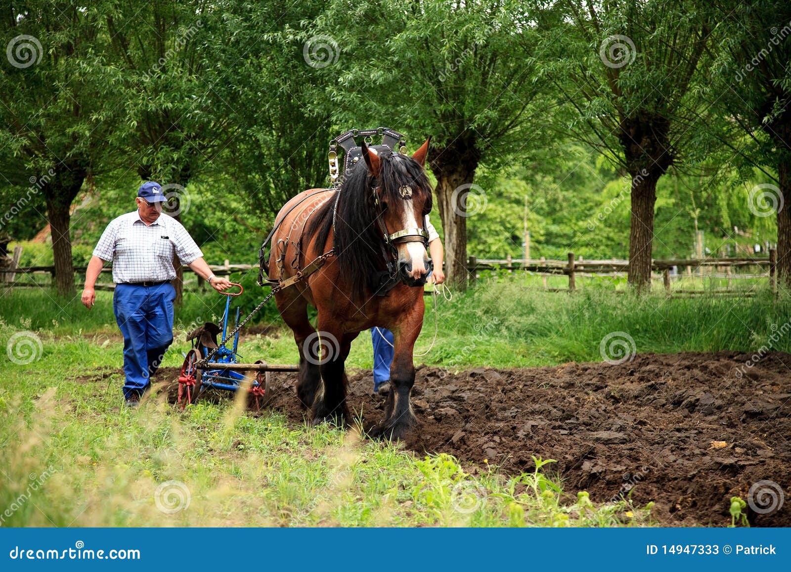 Plough The Land Farmer Editorial Stock Photo - Image: 14947333