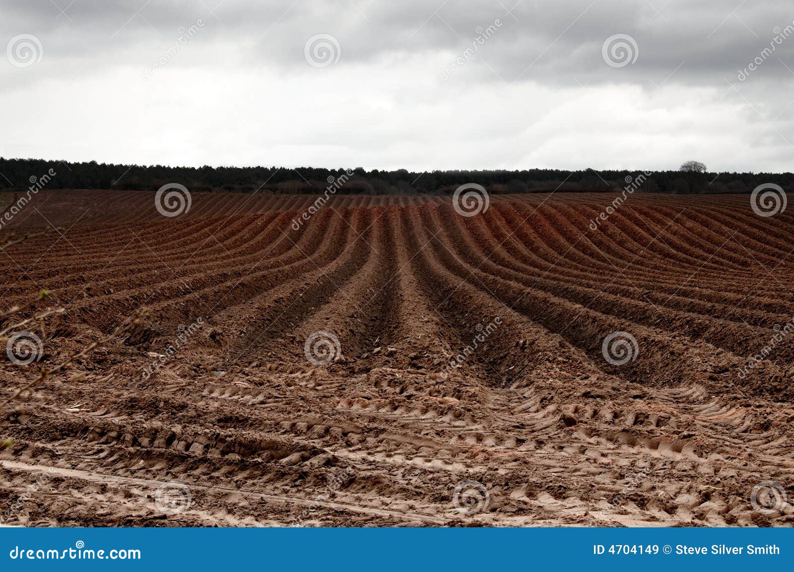 Ploughed field stock image. Image of ground, countryside - 4704149