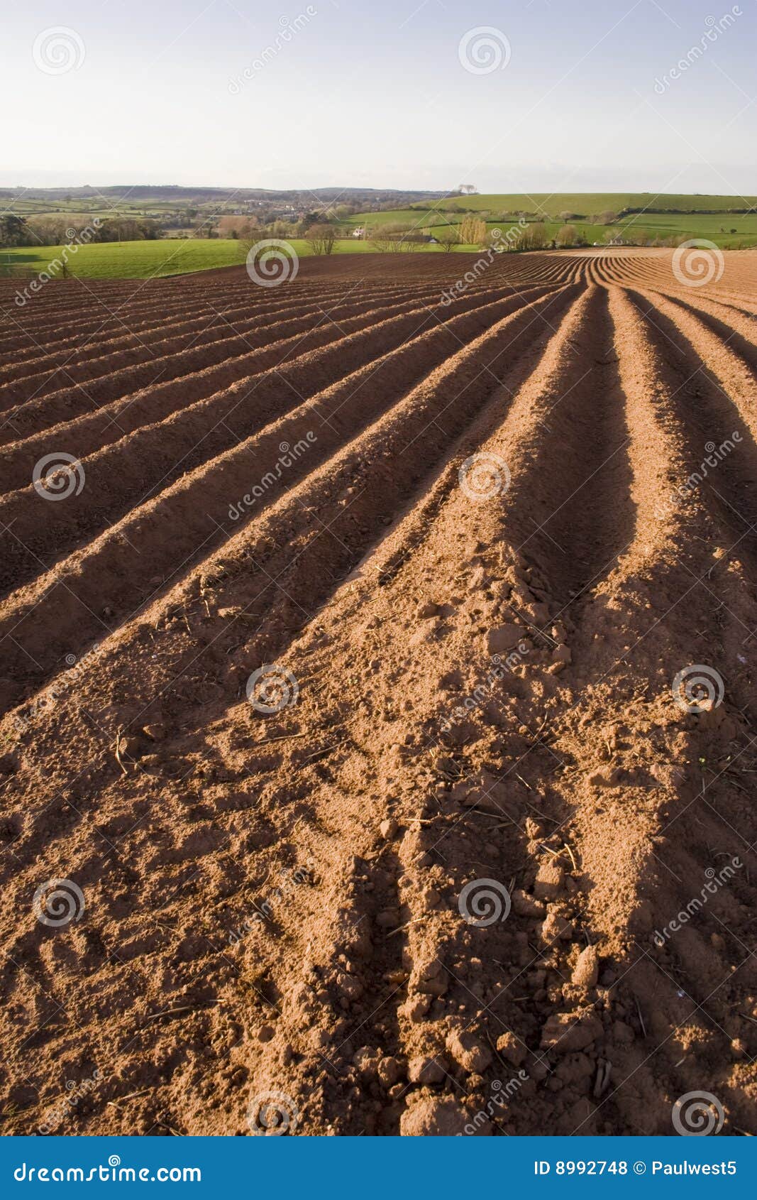 Ploughed field stock photo. Image of landscape, soil, agriculture - 8992748