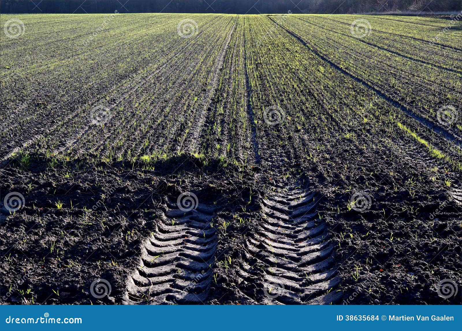 Ploughed field. stock photo. Image of landscape, land - 38635684
