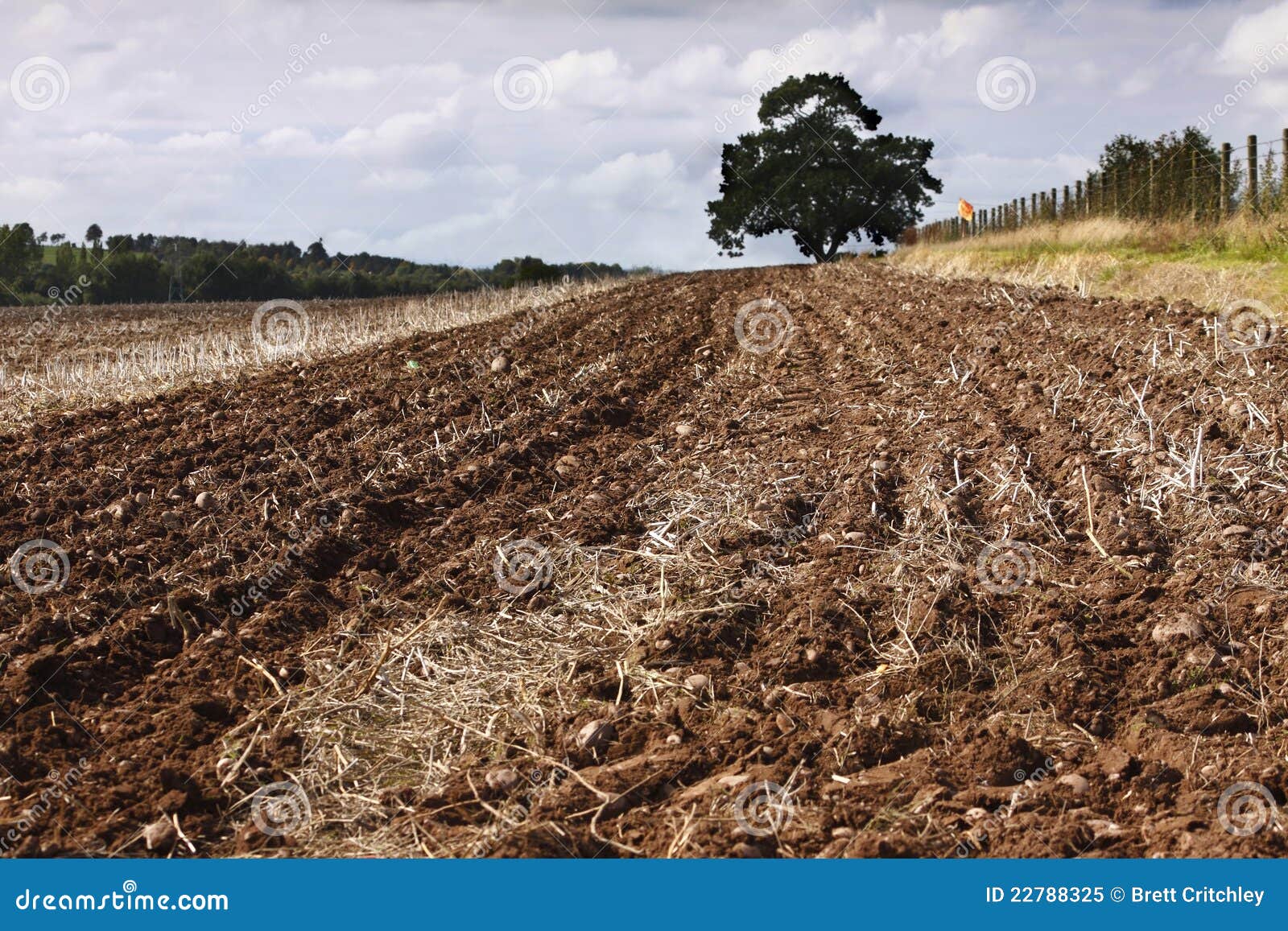 Ploughed / plowed field stock image. Image of crops, countryside - 22788325
