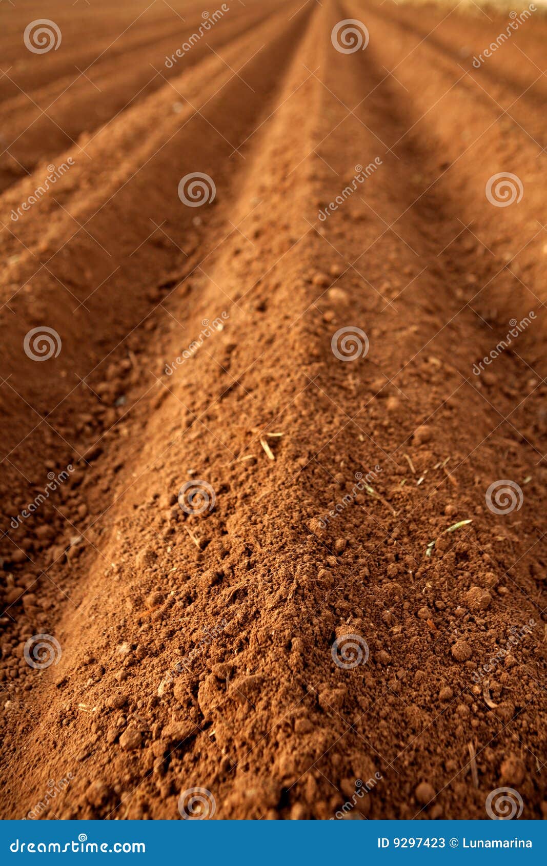 Ploughed Red Clay Soil Agriculture Fields Stock Image - Image of ...