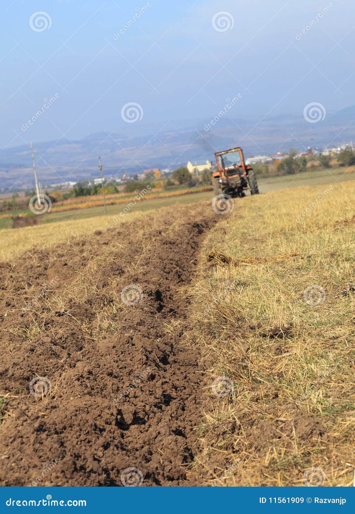 Ploughing stock image. Image of agriculture, labor, culture - 11561909