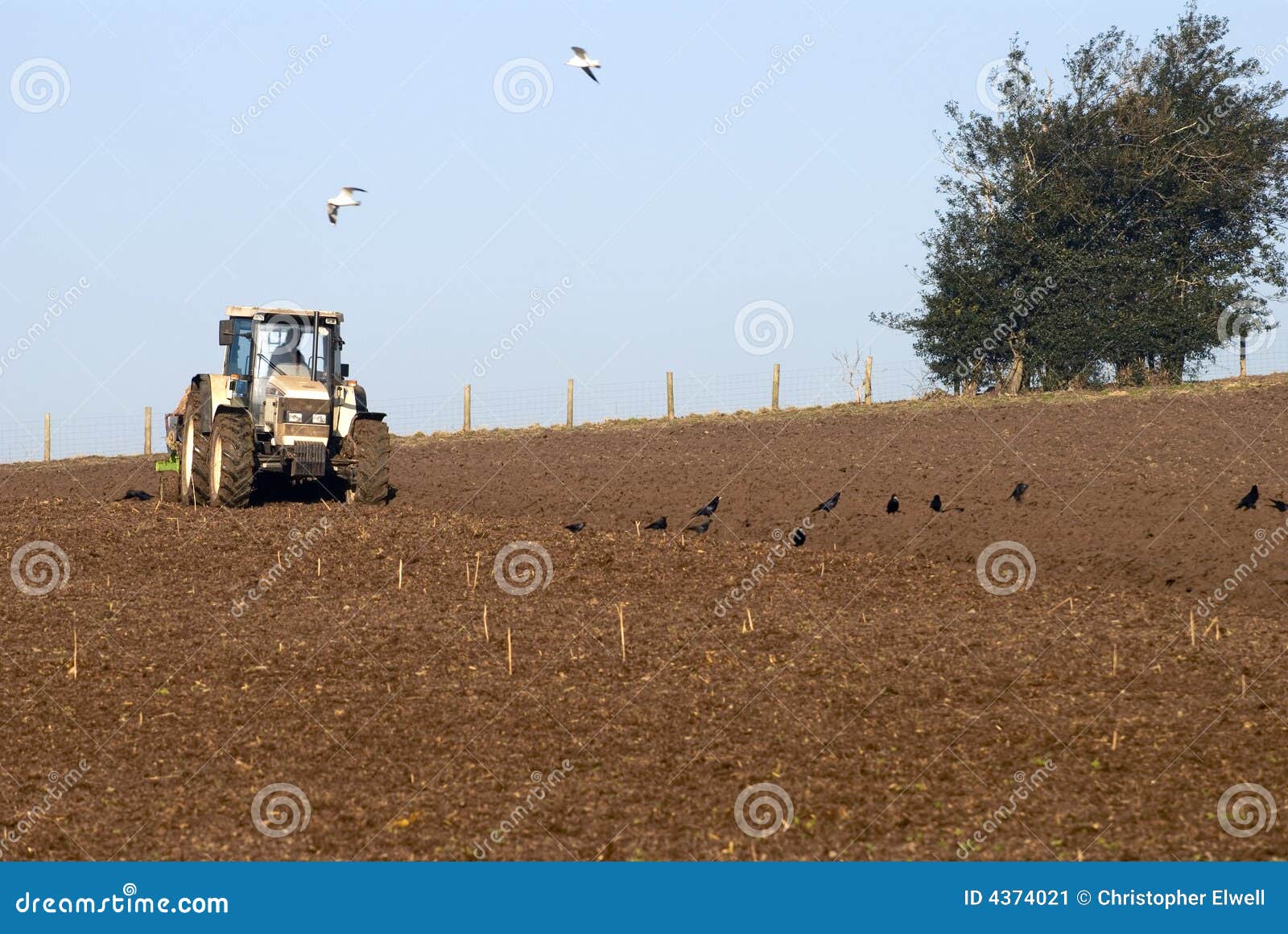 Ploughing stock image. Image of tractor, ploughing, plough - 4374021