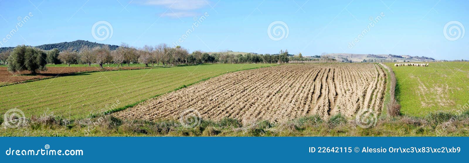 Ploughland stock image. Image of plowed, soil, work, landscape - 22642115