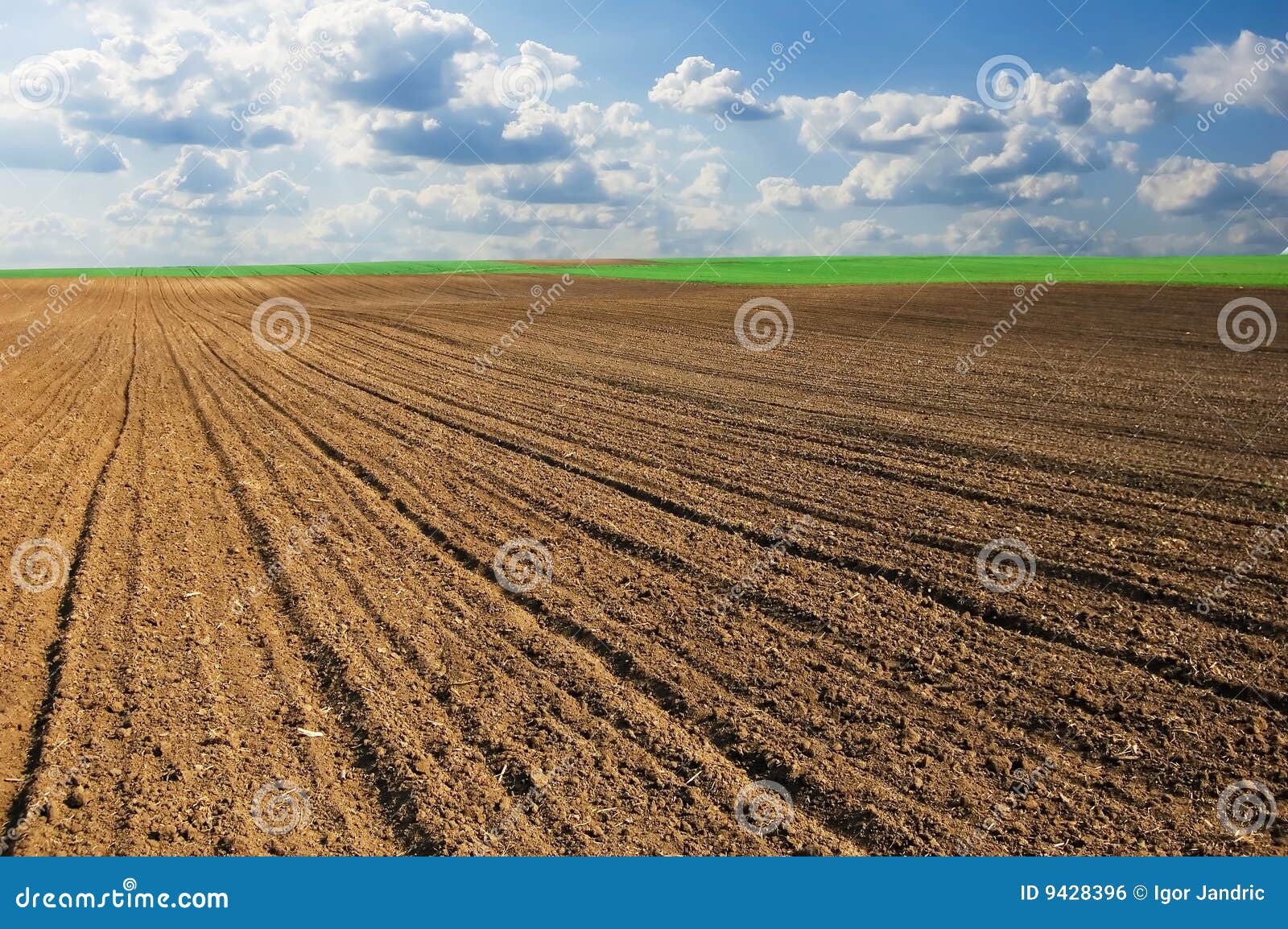 Ploughland stock photo. Image of ploughland, environment - 9428396