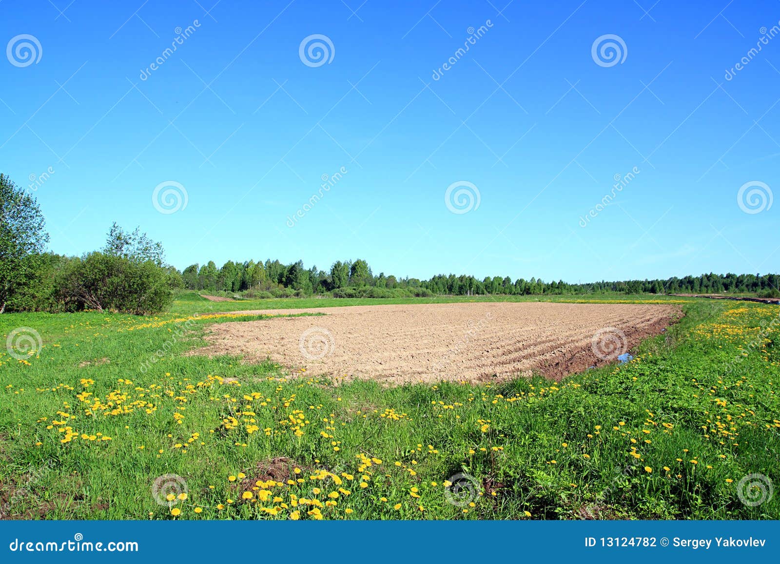 Plow field stock photo. Image of potato, industry, crop - 13124782