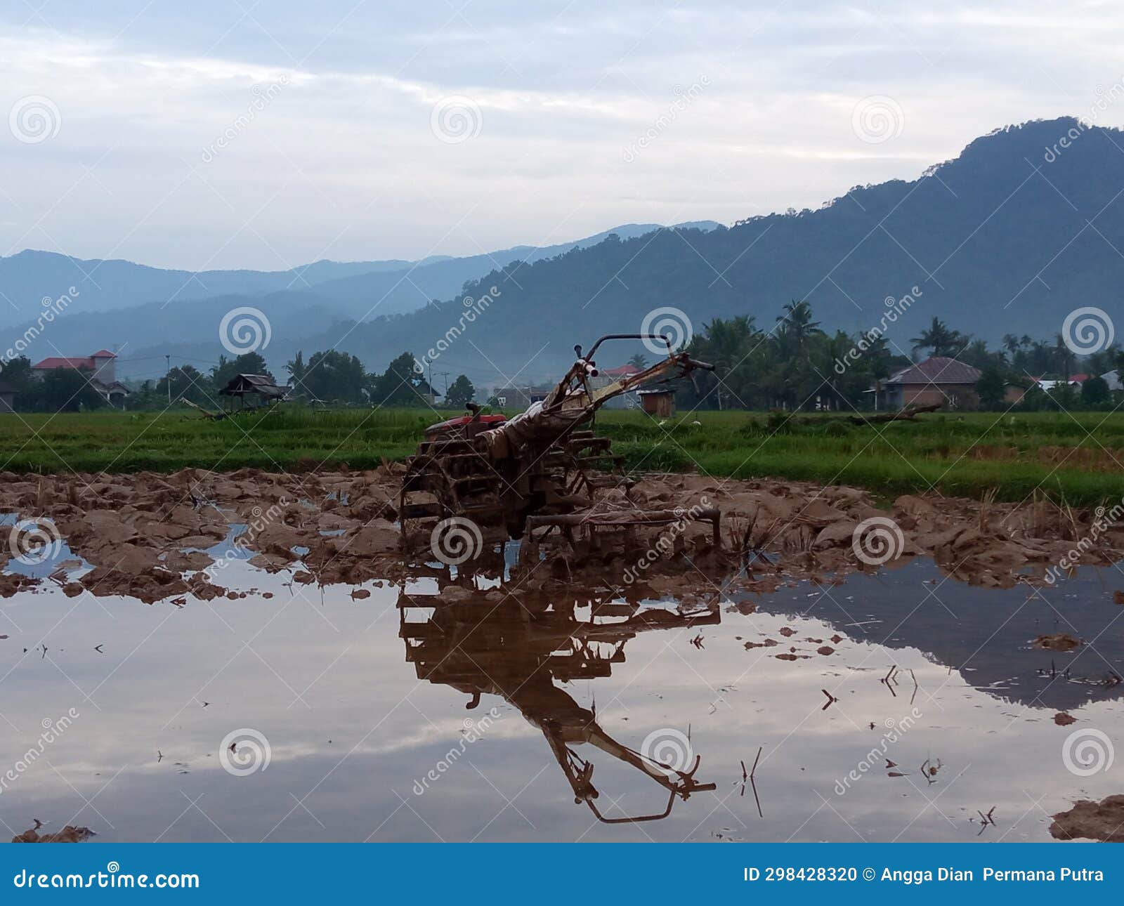 The Plow Machine is Placed in the Middle of the Rice Field Stock Photo ...
