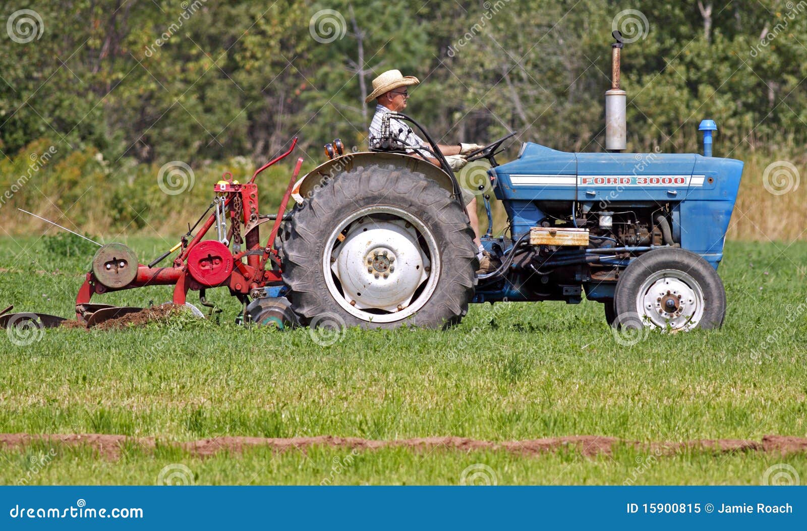 Plowman Plowing Rice Field, Using Power Of Horses, Near Villages ...