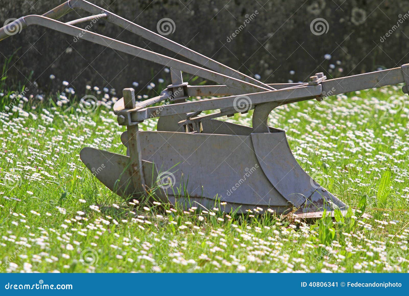 Plow To Work the Land on the Grass Field of Daisies Stock Image - Image ...