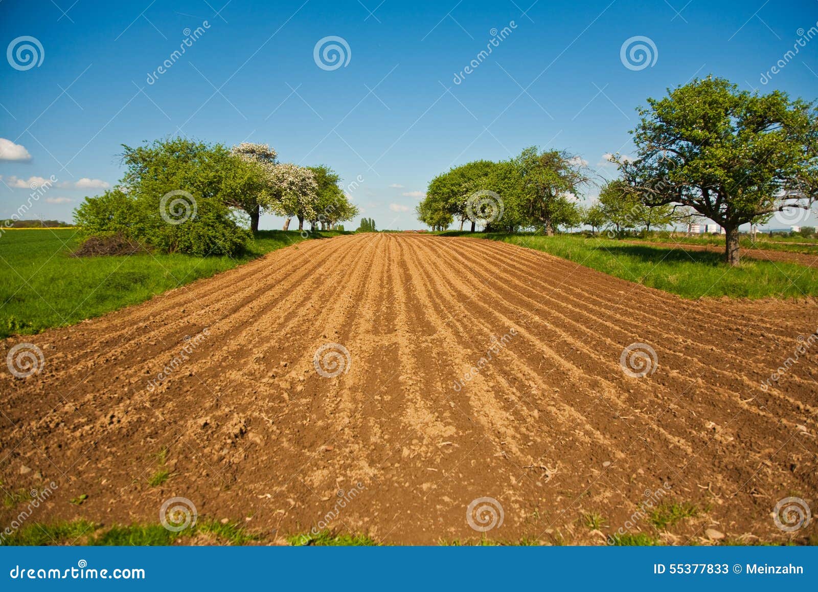 Plowed Acres and Trees with Blue Sky Stock Image - Image of field ...