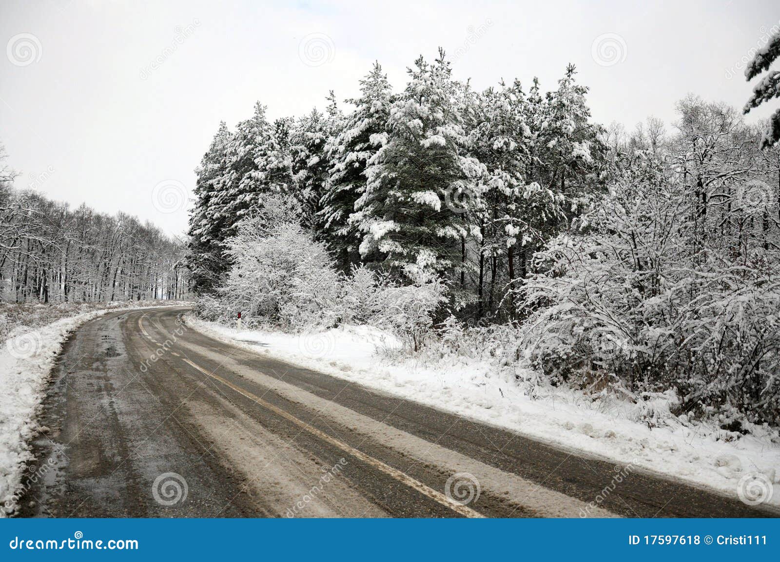 Plowed Curved Road through Snowy Forest Stock Photo - Image of drive ...