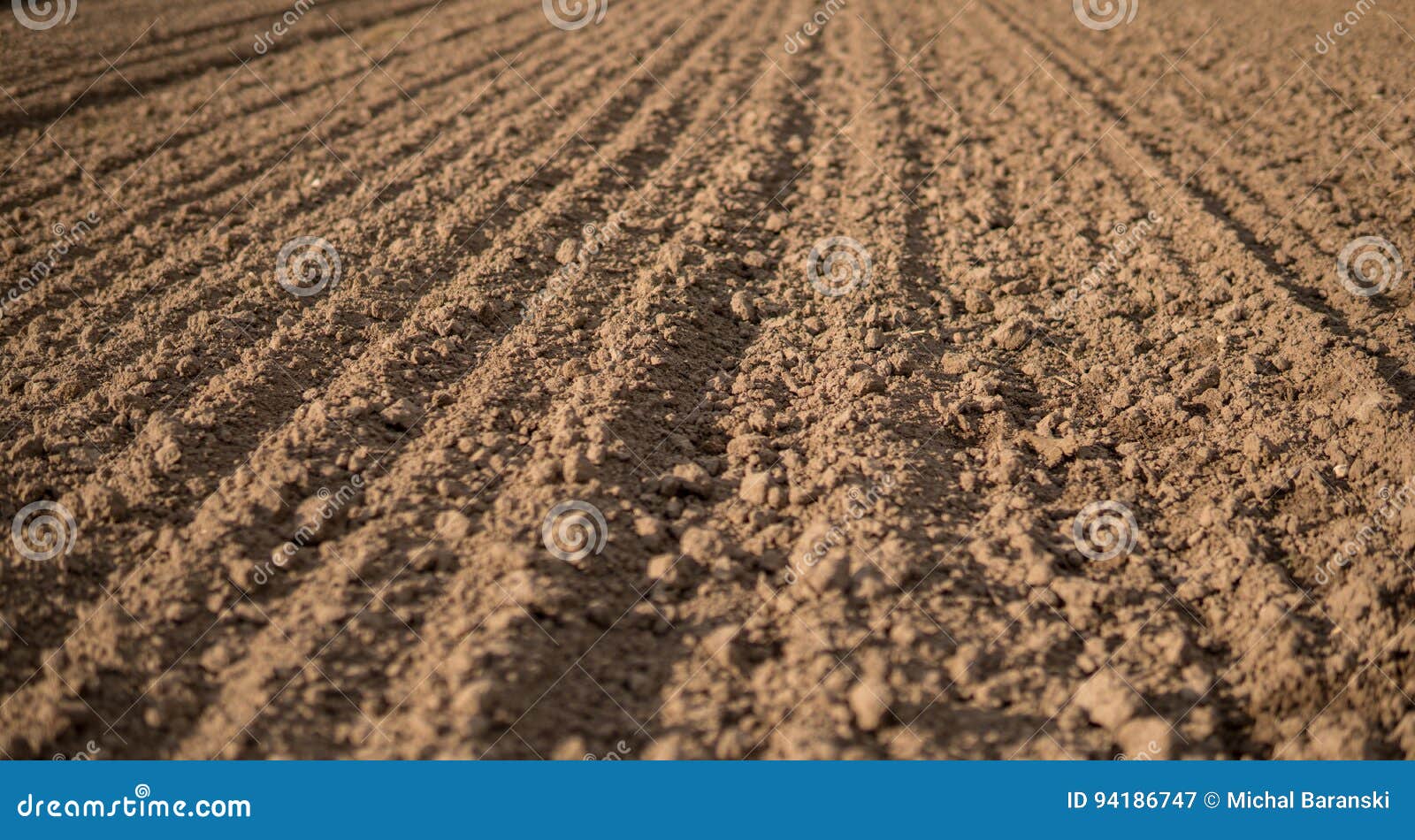 Plowed empty field stock image. Image of start, line - 94186747