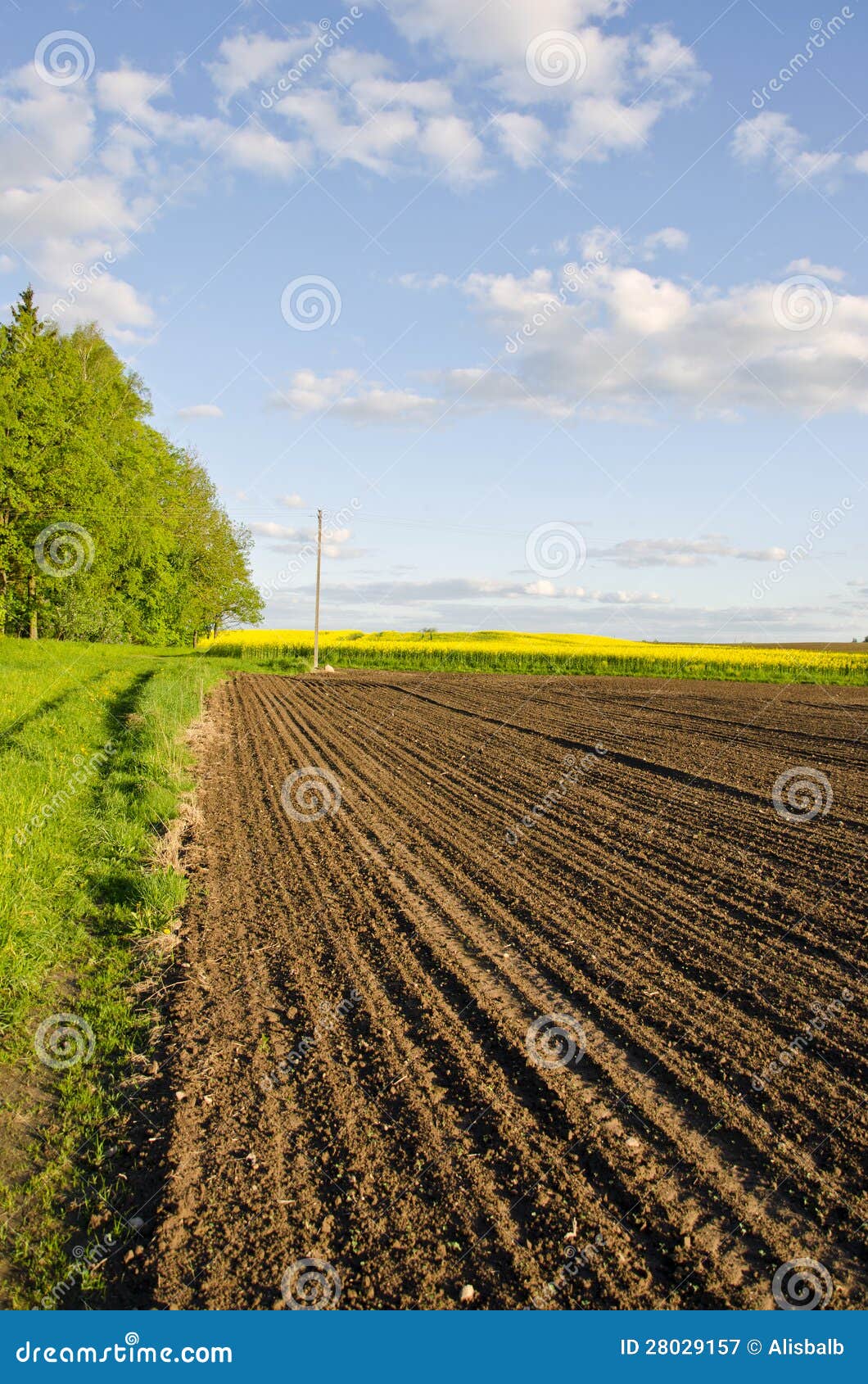 Plowed Farm Field in Spring Stock Image - Image of view, countryside ...