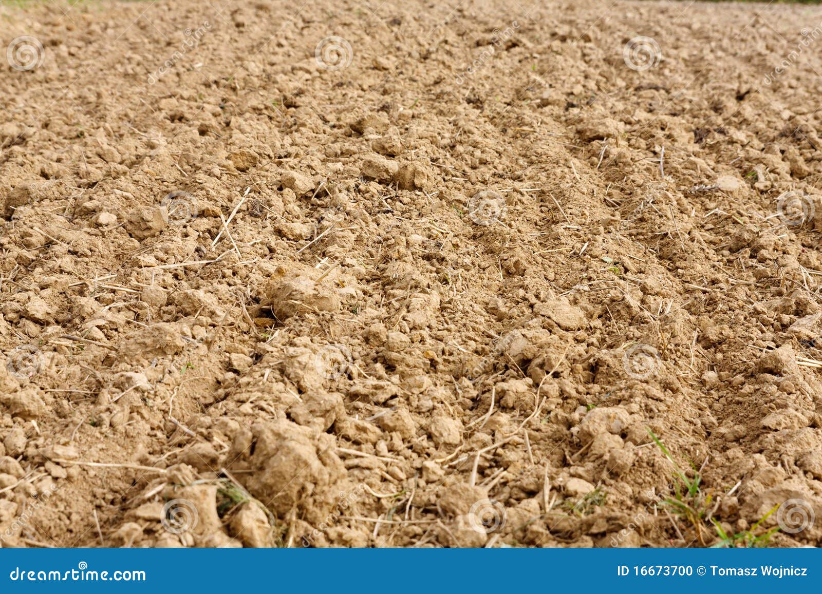 Plowed fertile soil stock photo. Image of earth, drought - 16673700