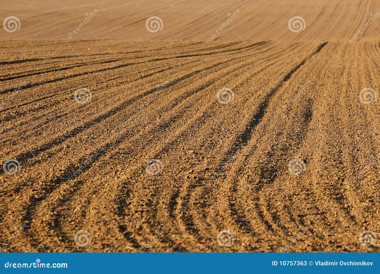 Plowed field stock image. Image of outdoors, dirt, striped - 10757363