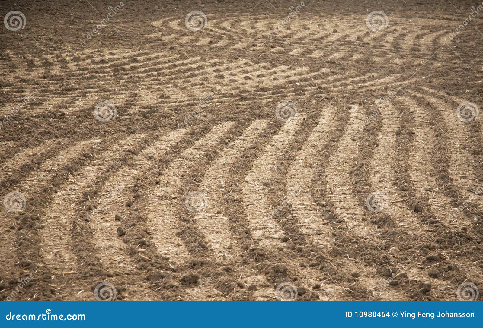 Plowed field stock photo. Image of rural, macro, brown - 10980464
