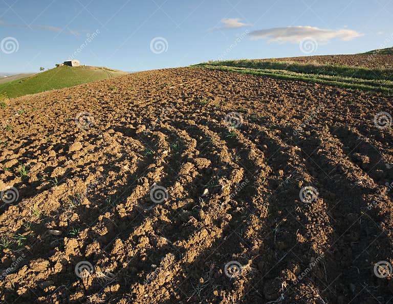 Plowed field stock image. Image of field, dawn, agriculture - 12861445