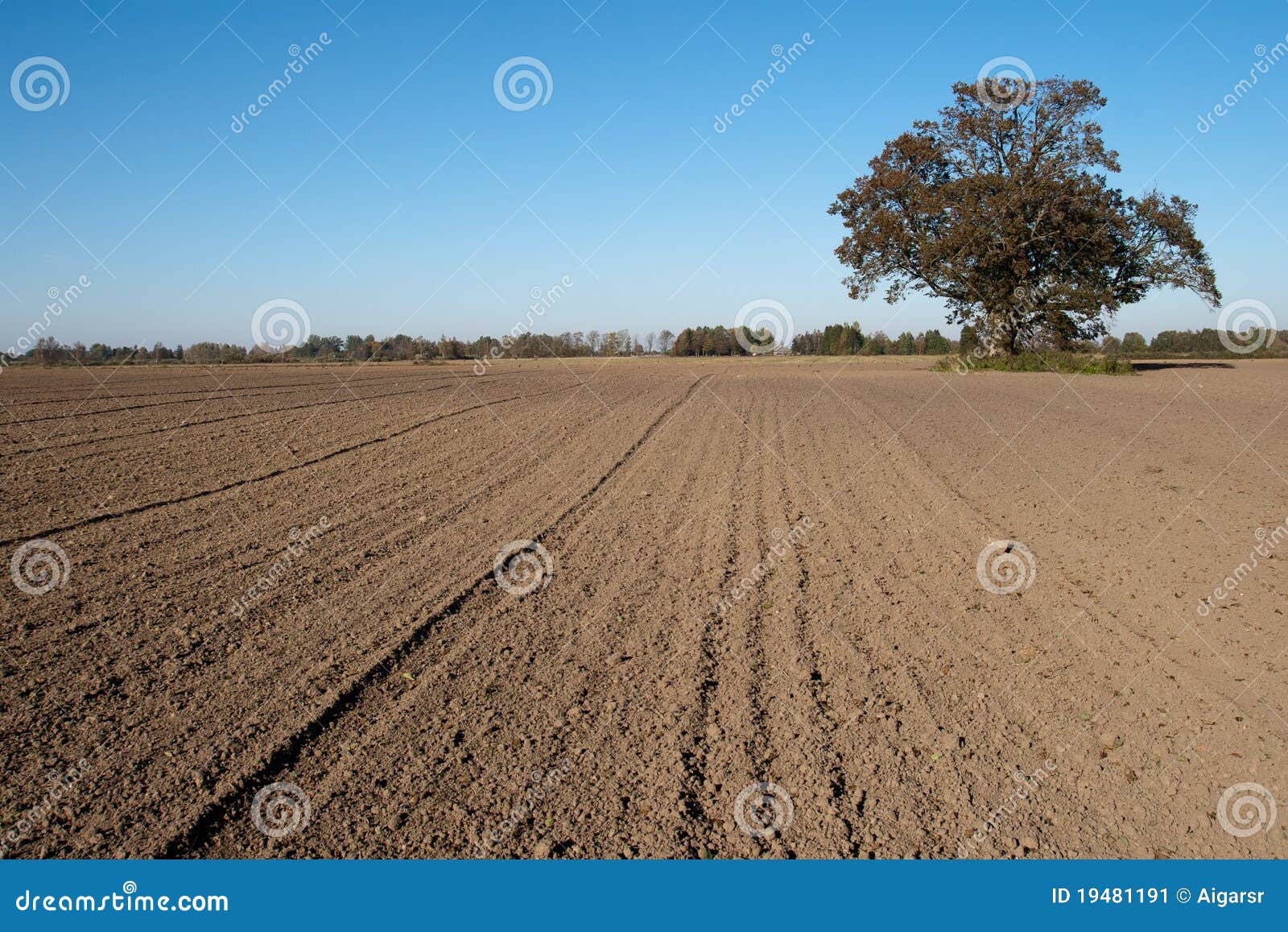 Plowed field stock image. Image of nature, farmland, plow - 19481191