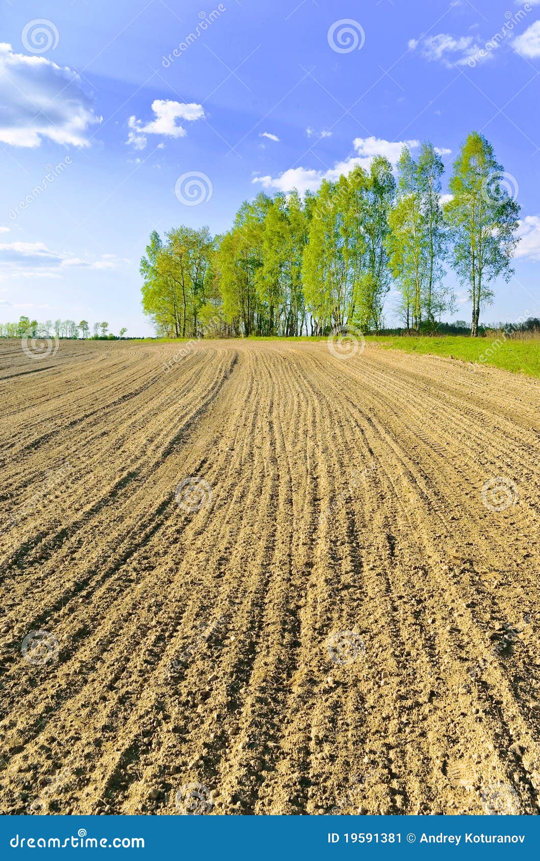 Plowed field stock image. Image of field, farm, furrow - 19591381