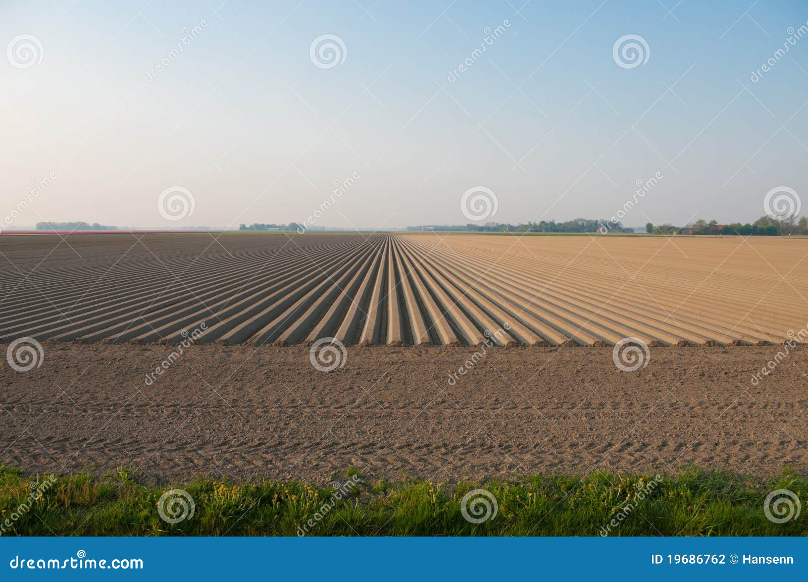 Plowed field stock photo. Image of growth, pasture, symmetric - 19686762
