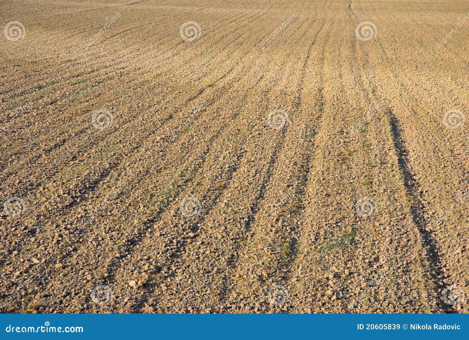Plowed field stock image. Image of ground, landscape - 20605839