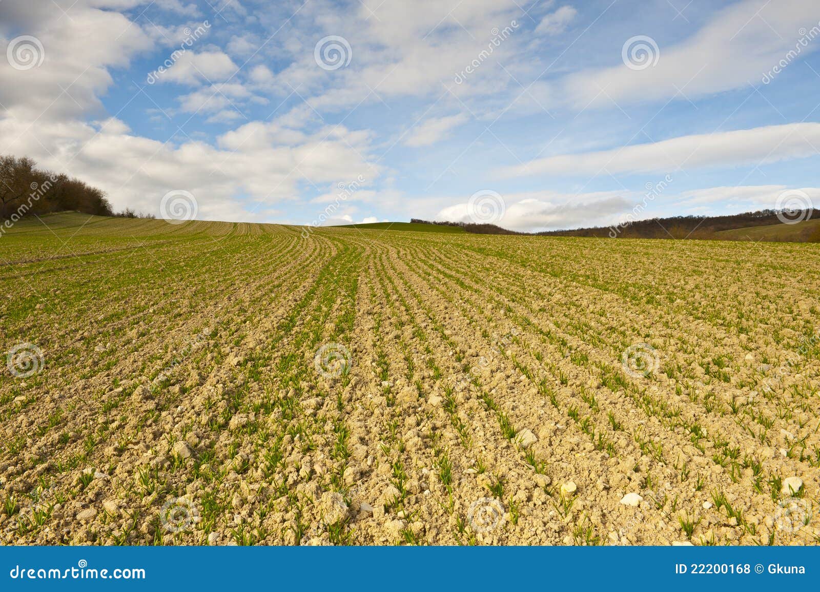 Plowed Field stock photo. Image of flora, arable, brown - 22200168