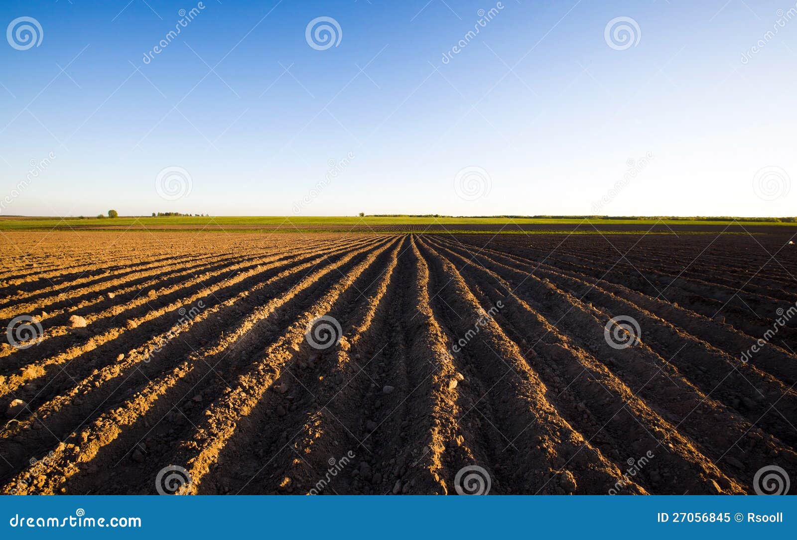 Plowed field stock image. Image of environment, corn - 27056845