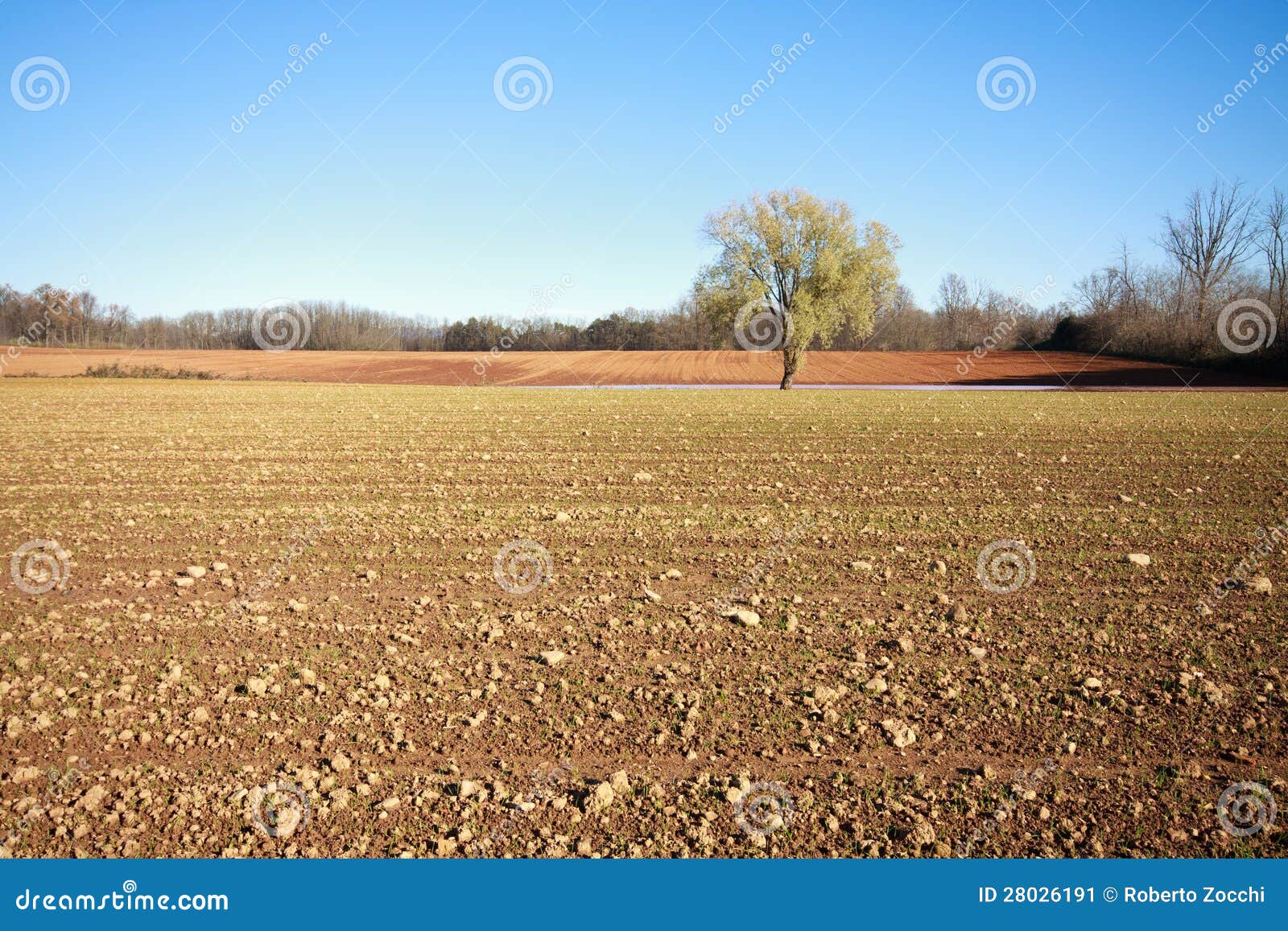 Plowed field stock image. Image of plowed, horizon, agriculture - 28026191