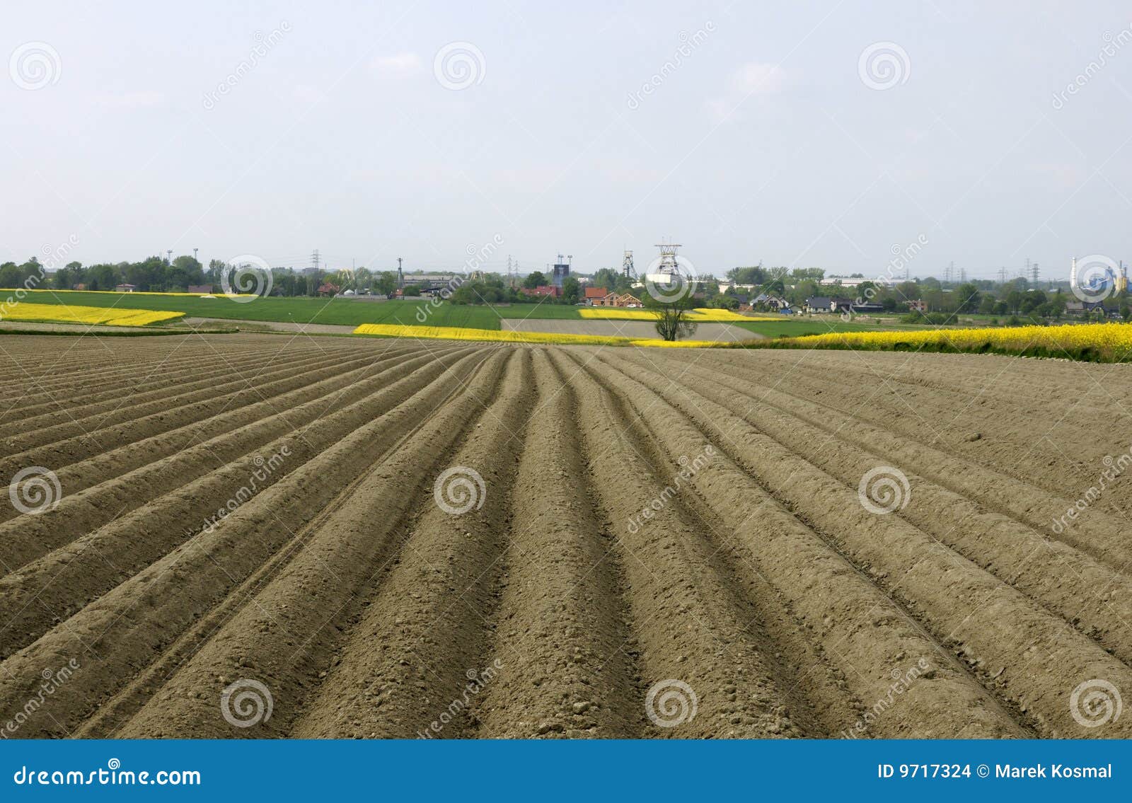 Plowed field stock photo. Image of vegetables, field, furrow - 9717324