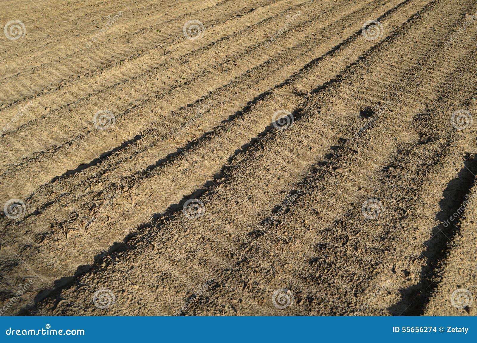 Plowed field stock photo. Image of natural, arable, countryside - 55656274
