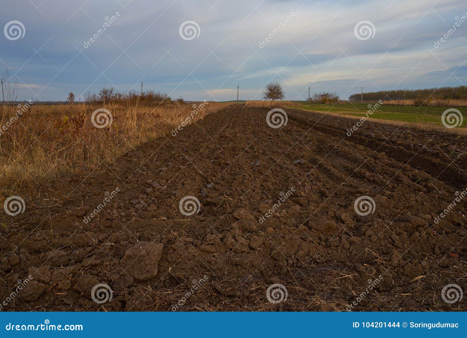 Plowed Field in Autum at Dusk. Stock Photo - Image of november, partial ...