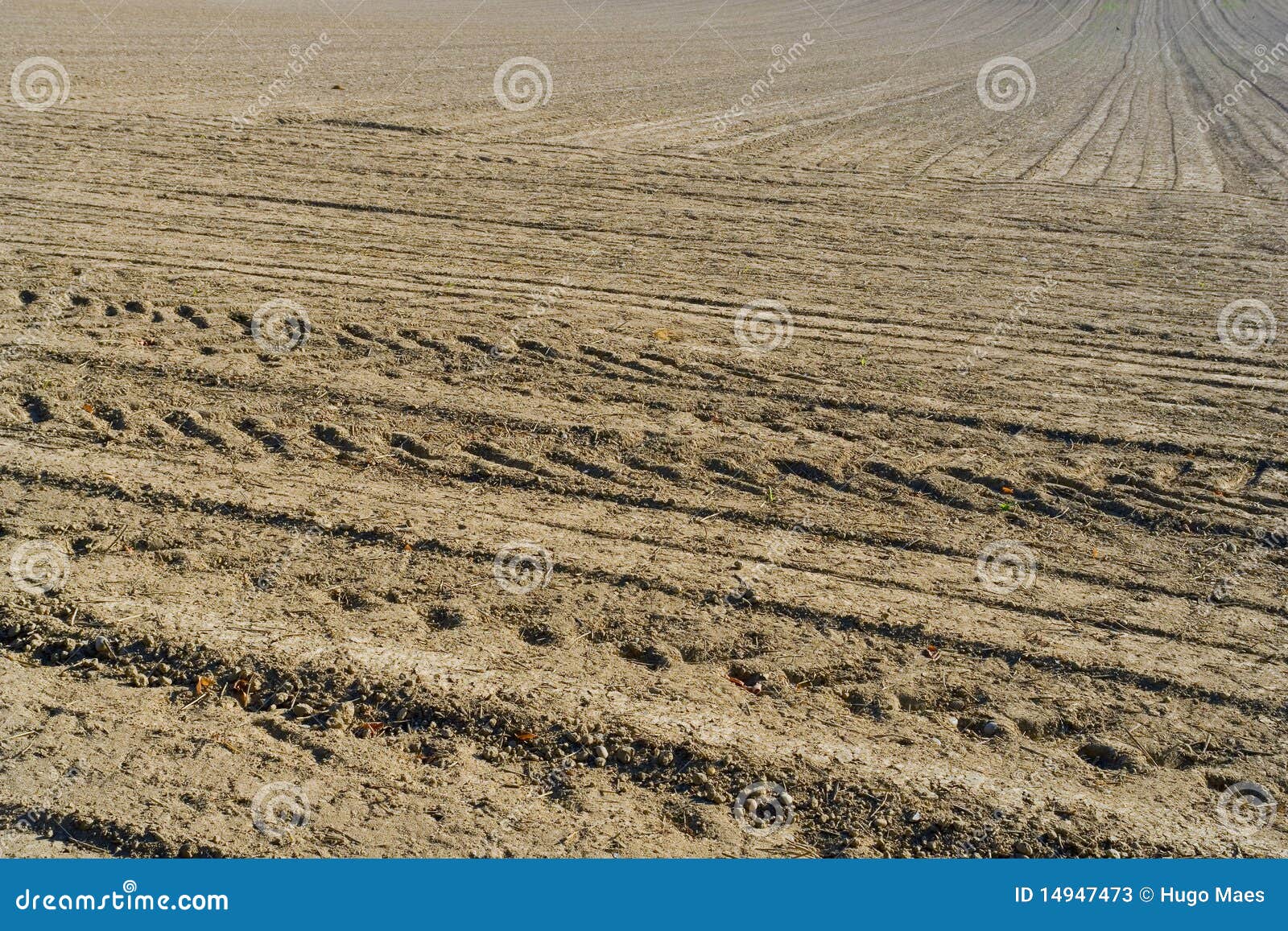 Plowed field background stock image. Image of texture - 14947473