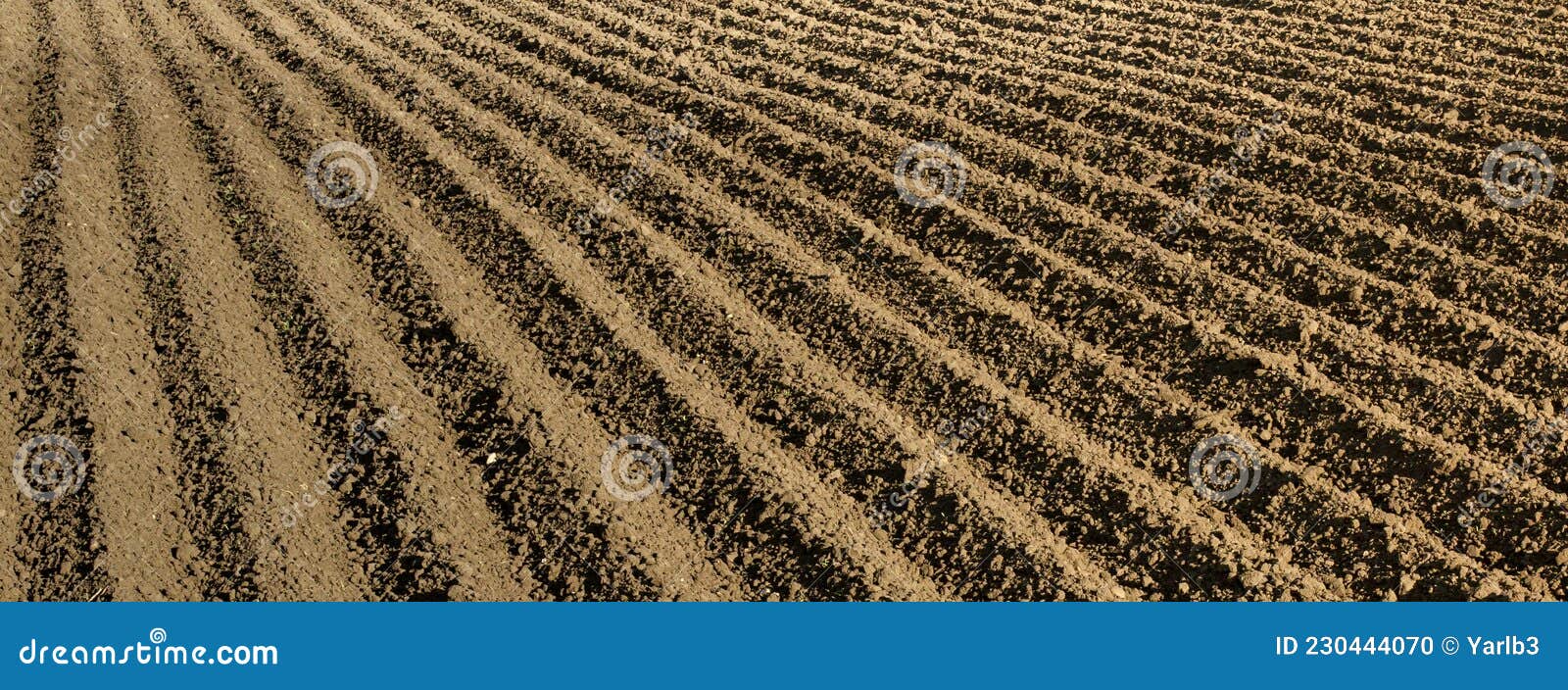 Plowed Field with Deep Furrows, Wide Banner Stock Photo - Image of blue ...