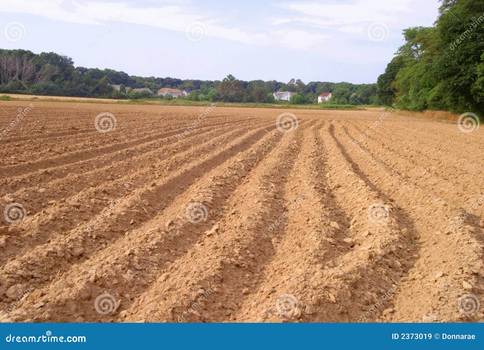 Plowed Field for Fall Crops Stock Image - Image of food, crops: 2373019